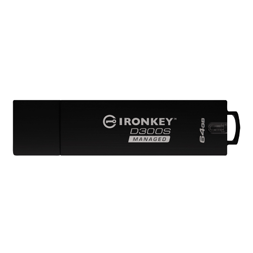 KINGSTON USB Flash memorija 64GB DM300SM AES