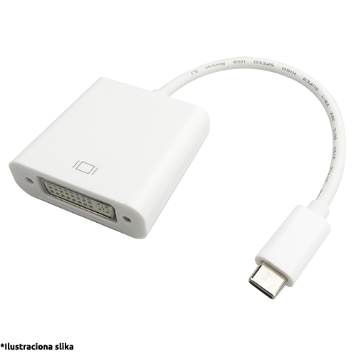 FAST ASIA adapter USB C 3.1 na DVI (m/ž),