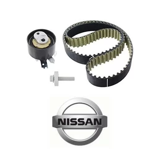 Veliki servis Nissan Juke 1.5 dci