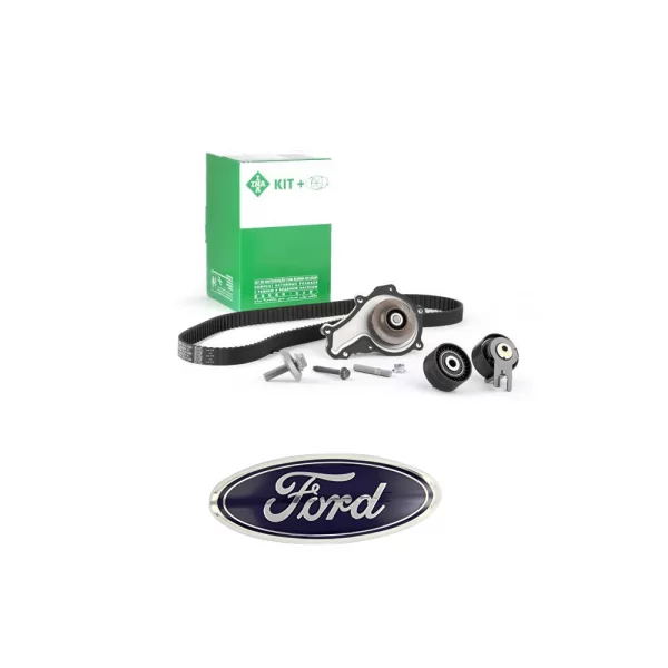 Veliki servis Ford Fiesta 1.6 tdci