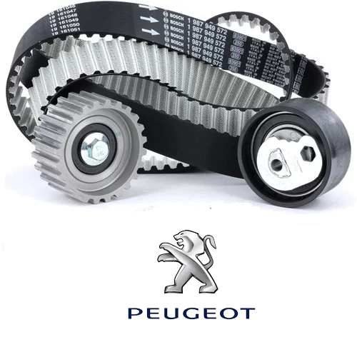 Veliki servis Peugeot 206 1.4 b