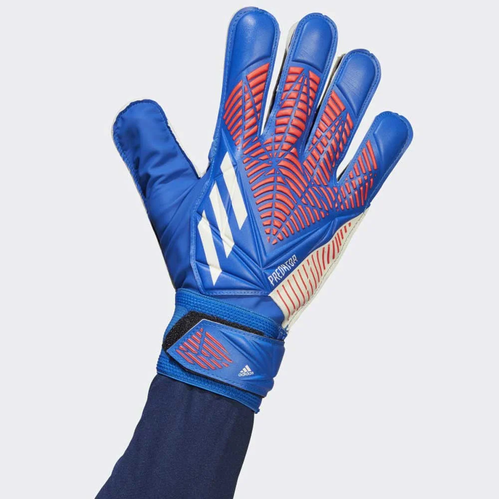 PRED GL TRN – H43741