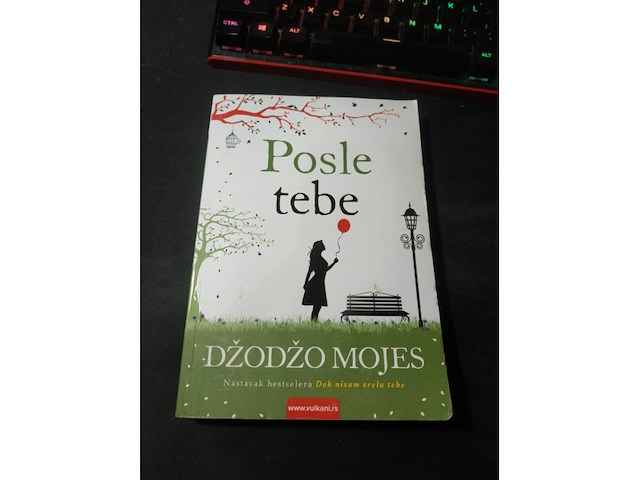 Posle tebe - Džodžo Mojes