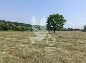 Prodaja Građevinsko zemljište - Mladenovac, Velika Ivanča