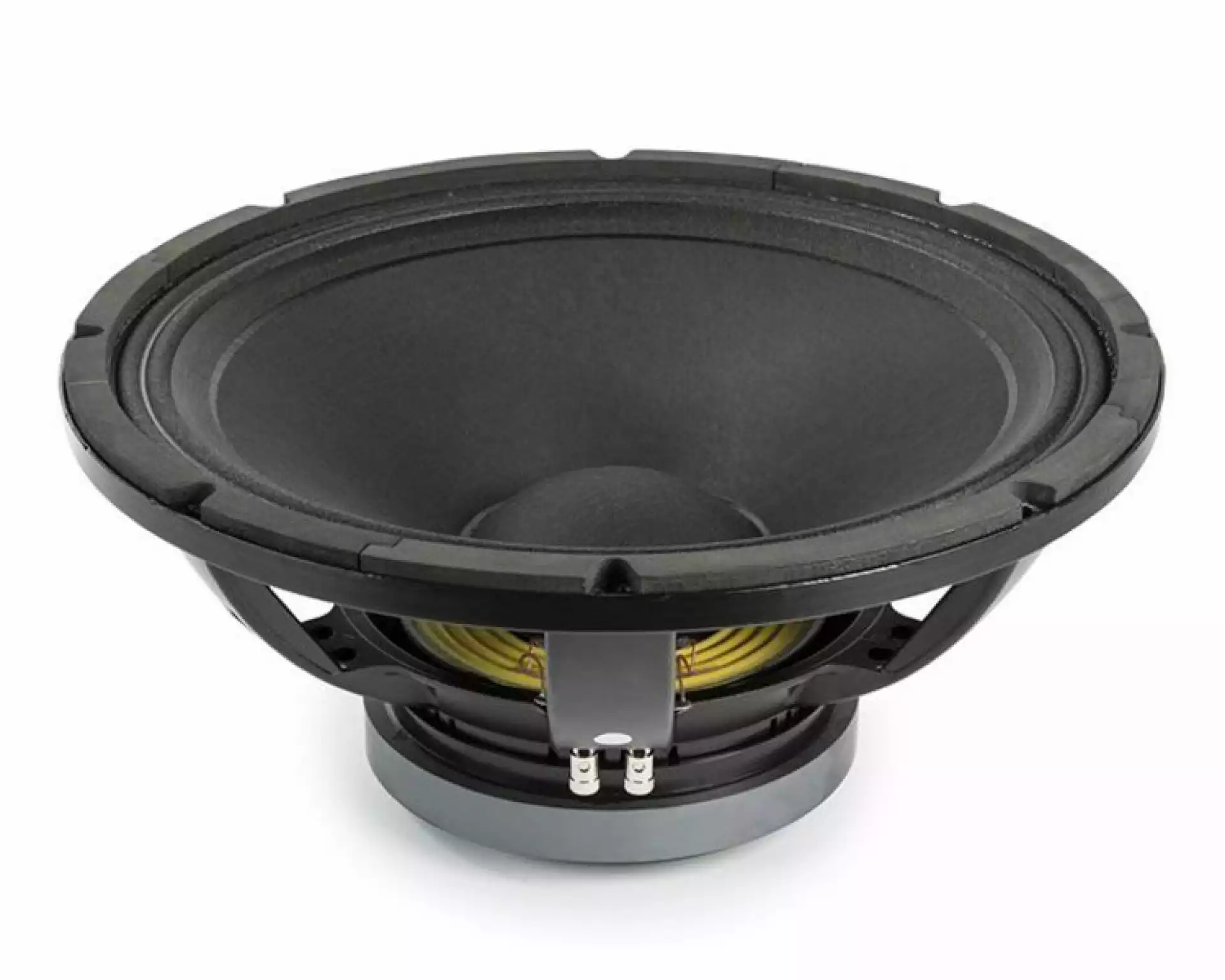 Eighteensound 18W1001 8ohm