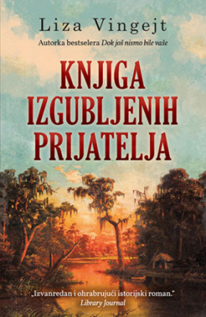 Knjiga izgubljenih prijatelja - Liza Vingejt ( 11129 )