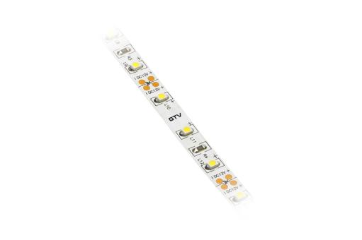 GTV LED traka 5050, 300 LED hladna bela, 72W nevodootporna IP20, 10mm, rolna 5m, 12V IP20, LD-5050-300-20-ZB