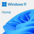 Windows HOME 11