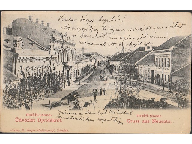 Novi Sad 1901