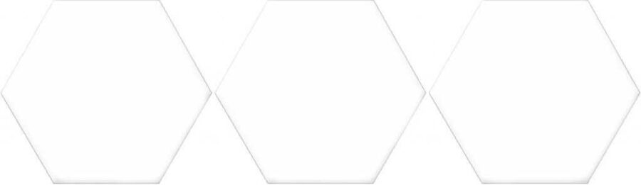 20×30 Versalles White Hex