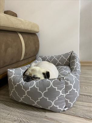 Kreveti za pse