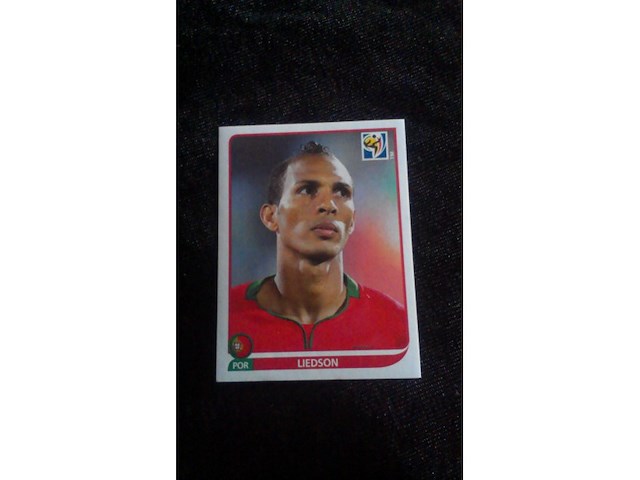 Panini FIFA 2010 J.Afrika sličica broj 560