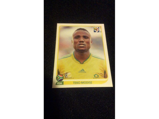 Panini FIFA 2010 J.Afrika sličica broj 041