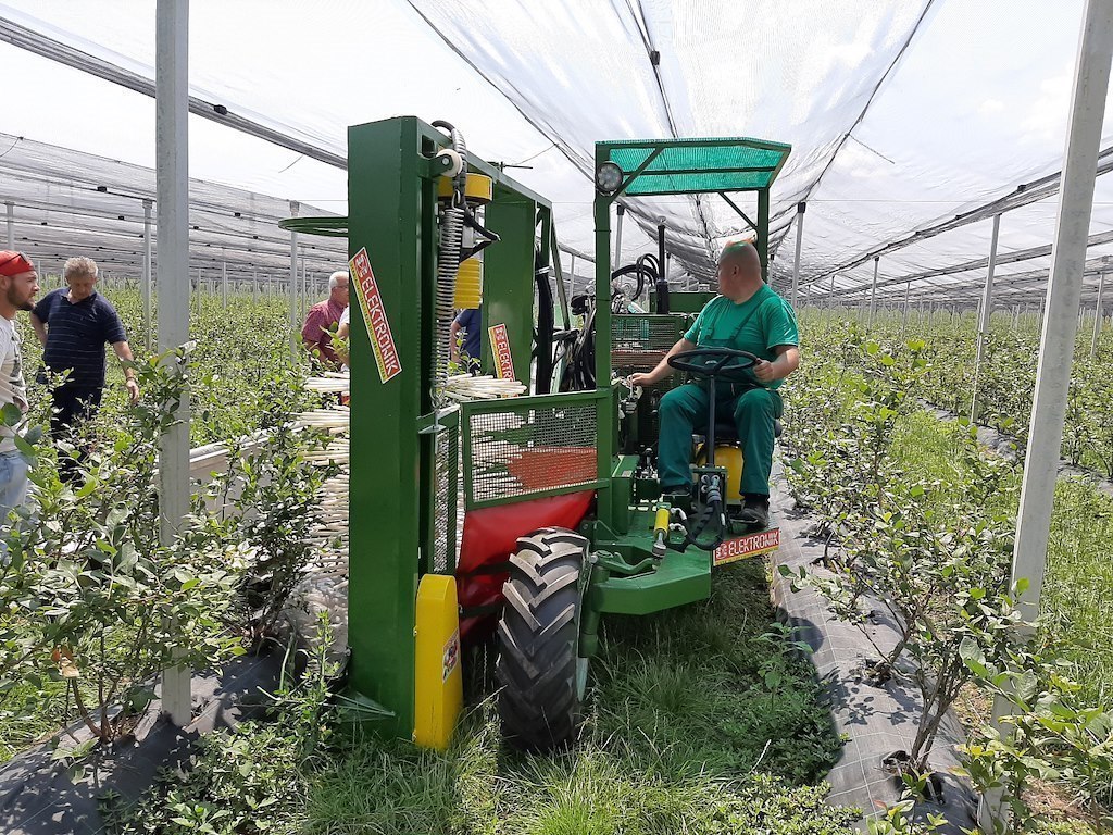 KOMBAJN ZA BERBU BOROVNICE I MALINE POD MREŽOM SP-10