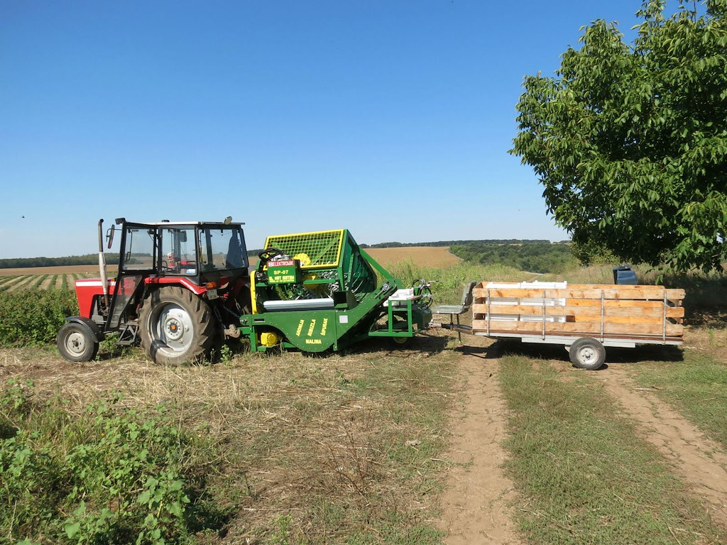 BERAČ ZA RIBIZLE, ARONIJU, ŠIPURAK I MALINE (POLANU) SP-07