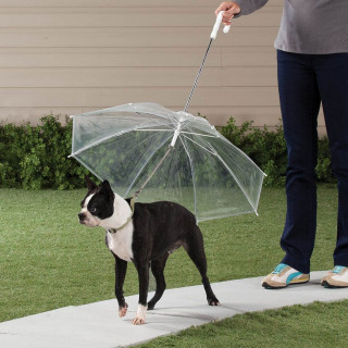 Pet umbrella - Kišobran za kućne ljubimce sa ugrađenim povodcem