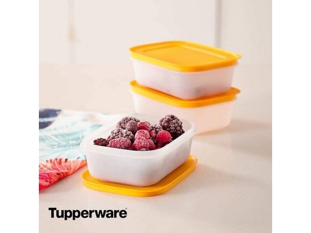 Tupperware set posuda za zamrzivac 2x450ml