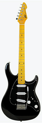 Peavey Raptor Custom Black električna gitara