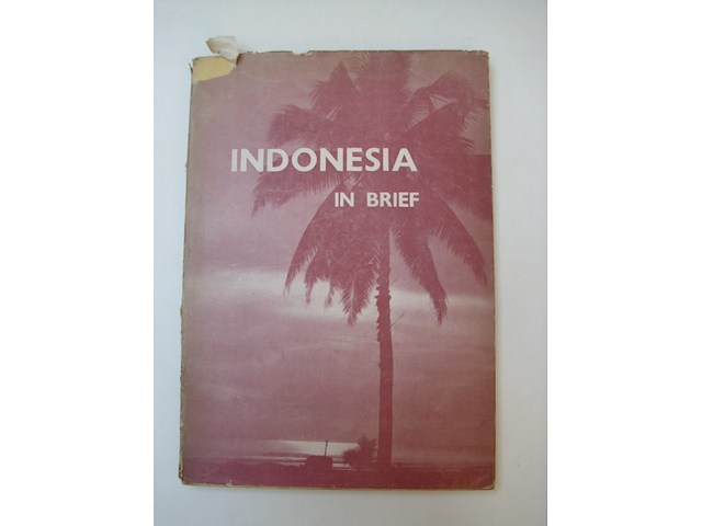 INDONESIA IN BRIEF  (KNJ4)