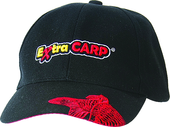 EXC CAP 2108