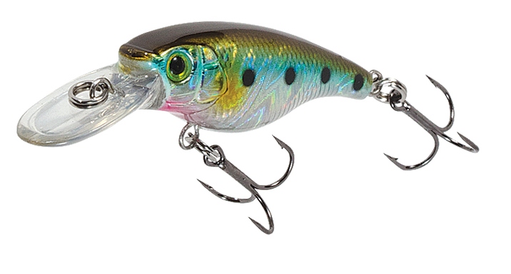 FILEX LURES DYNAMIC 5382