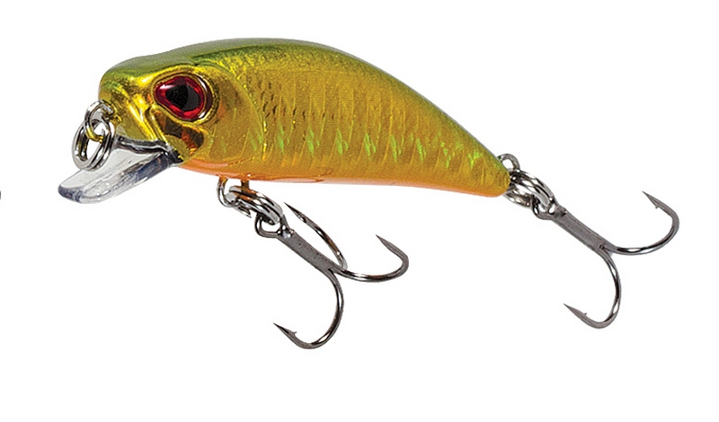 FILEX LURES RAPID 5542