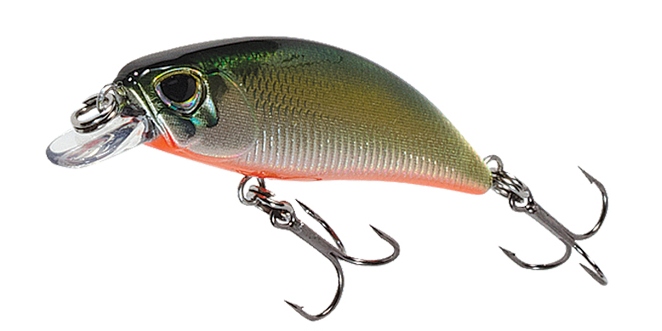 FILEX LURES ZENITH 5573