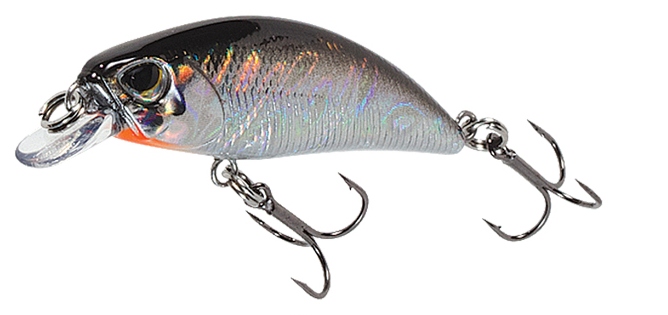 FILEX LURES ZENITH 5597