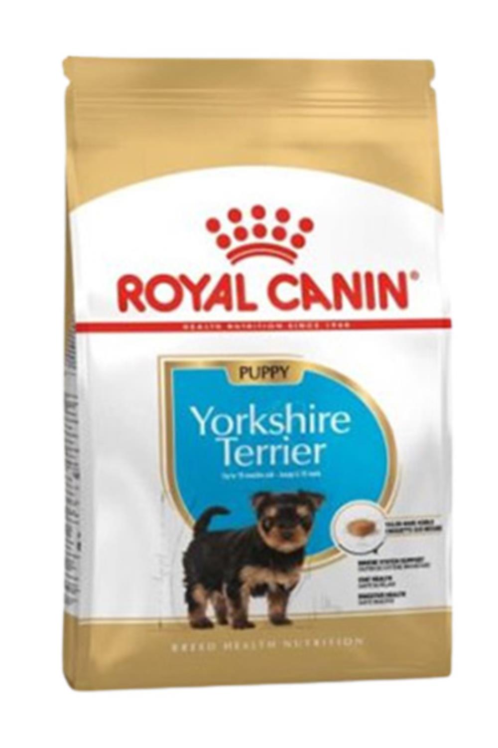 RC YORKSHIRE PUPPY