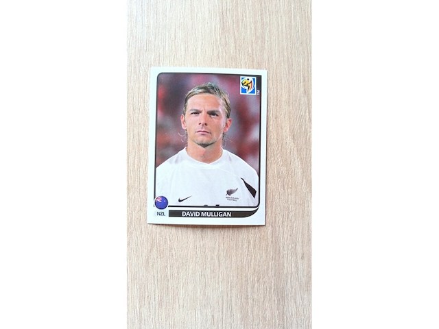 Južna Afrika broj 455 World cup 2010 Panini