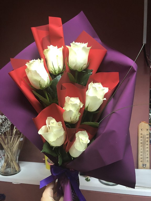 Buket 7 belih Ruža u kontrastnoj ljubičasto-crvenoj pozadini + Poklon čestitka – Šifra 215