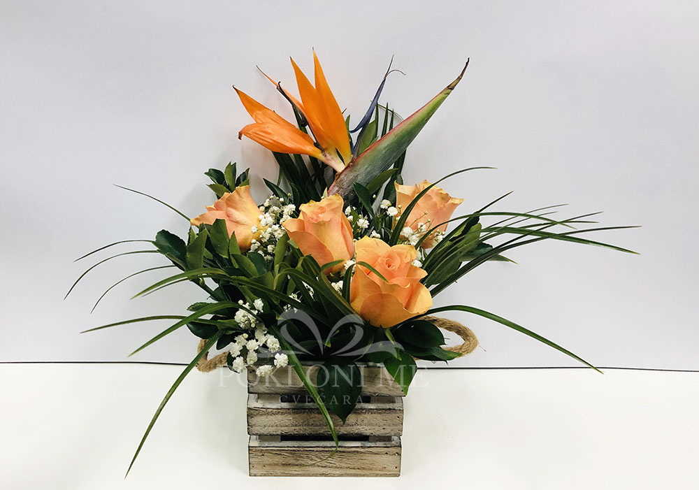 Strelicija,Rajski cvet & Oranž ruže sa zelenilom u drvenom setu + Poklon čestitka – Šifra 273