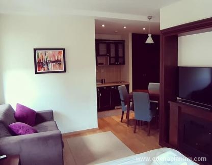 Smeštaj: Vila Mećava - Apartman "Jela"