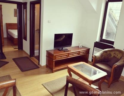 Smeštaj: Vila Mećava - Apartman "Olga"