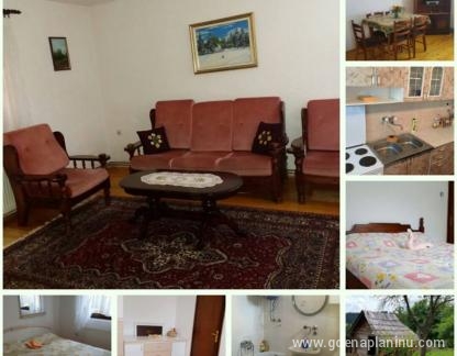 Smeštaj: Apartman Zlatar