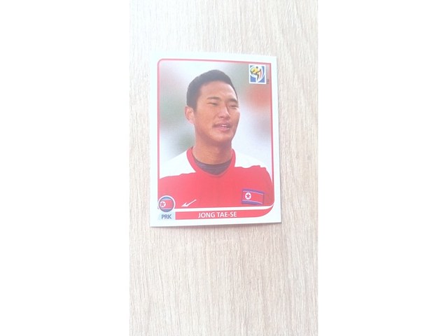 Južna Afrika broj 522 World cup 2010 Panini