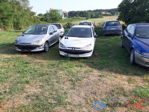 Polovni Delovi Za Peugeot 206 Trap I Vesanje