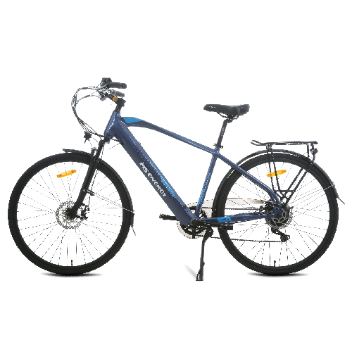 MS ENERGY eBike C11 L