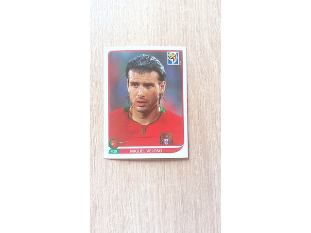 Južna Afrika broj 555 World cup 2010 Panini