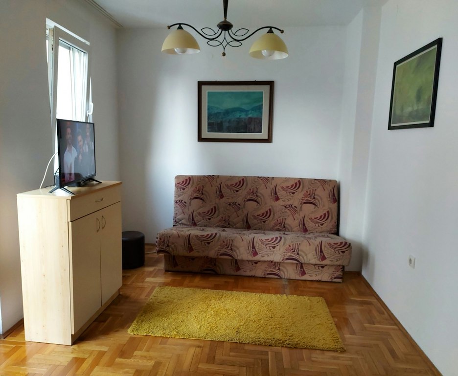 BULEVAR EVROPE, 26 m2, JEDNOSOBAN