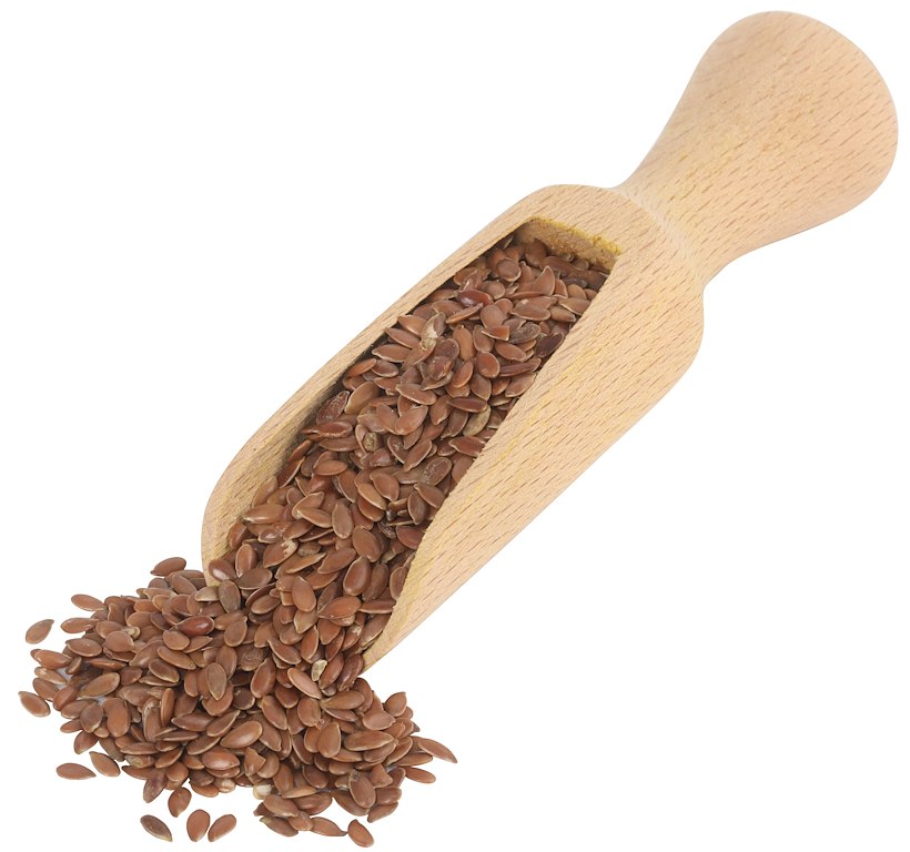 Laneno seme (organski proizvod) Bio Špajz