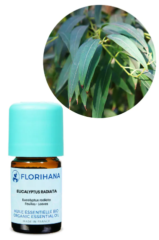 Florihana organsko etarsko ulje Eukaliptus Radiata 5 g Florihana