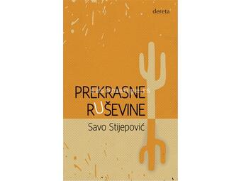 Prekrasne ruševine