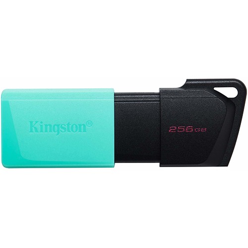Kingston 256GB USB3.2 Gen 1 DataTraveler Exodia M flash memorija | DTXM/256GB