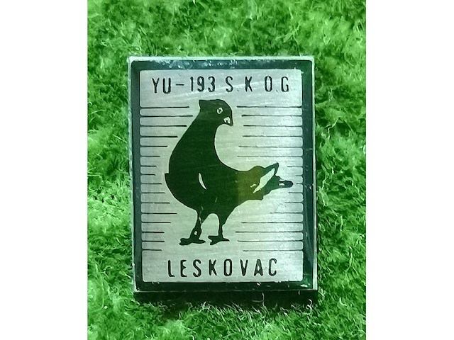 GOLUBARSKA-YU 193 S.K.O.G. LESKOVAC 5.