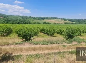 Prodaja Plac - Sremski Karlovci