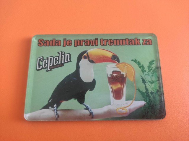 Magnet za frižider Cepelin sada je trenutak