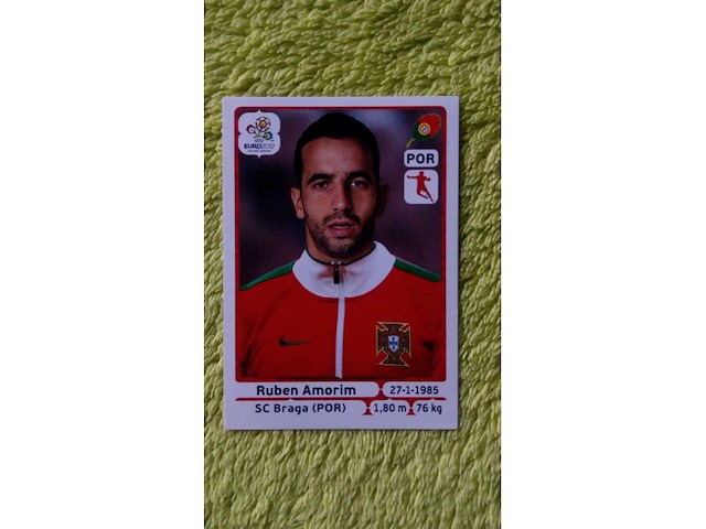 Panini EURO 2012 sličica broj 266