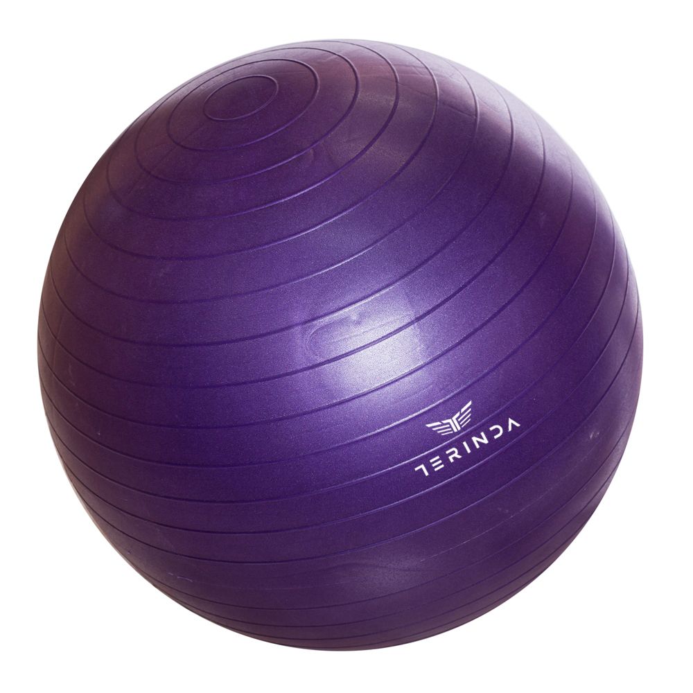 Terinda YOGA BALL, gimnastična lopta, ljubičasta