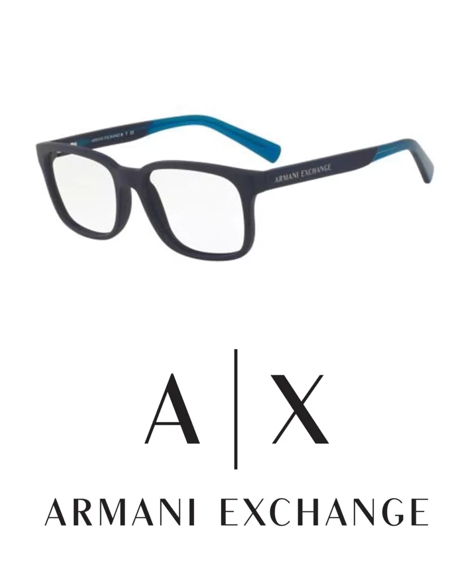 Armani Exchange 3029 8183